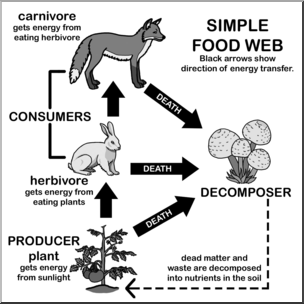 Clip Art: Food Web Grayscale – Abcteach