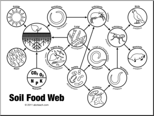Clip Art: Soil Food Web B&W – Abcteach
