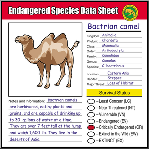 Clip Art: Species Data Sheet Sample 1 Color – Abcteach