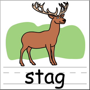 Clip Art: Basic Words: Stag Color Labeled – Abcteach
