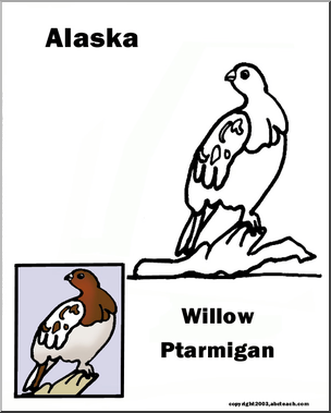 Alaska: State Bird – Willow Ptarmigan – Abcteach