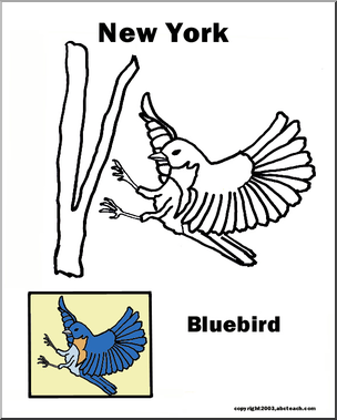 Wisconsin: State Bird – Robin – Abcteach
