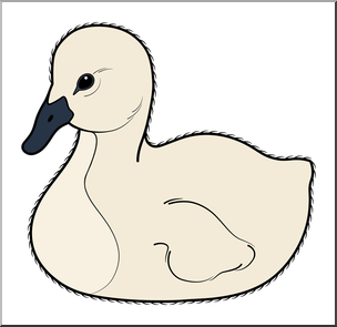 Clip Art: Baby Animals: Swan Cygnet Color 1 – Abcteach