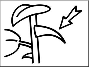 Clip Art: Basic Words: Thorn B&W Unlabeled – Abcteach