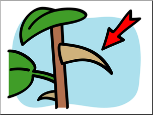 Clip Art: Basic Words: Thorn Color Unlabeled – Abcteach