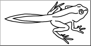 Clip Art: Toadlet B&W – Abcteach