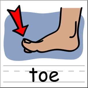 Clip Art: Basic Words: Toe Color Labeled – Abcteach