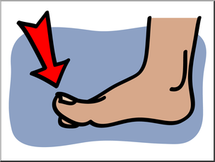 Clip Art: Basic Words: Toe Color Unlabeled – Abcteach