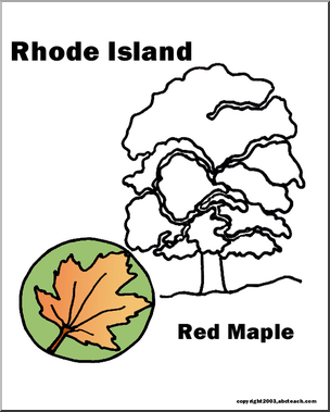 Rhode Island: State Tree – Red Maple – Abcteach