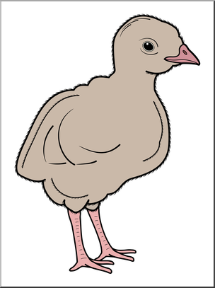 Clip Art: Baby Animals: Turkey Poult Color 1 – Abcteach