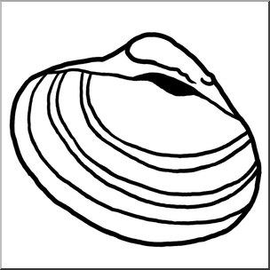 Clip Art: Seashells: Venus Clam Shell B&W – Abcteach