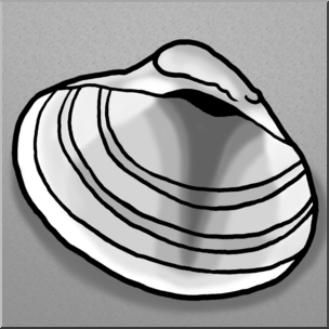 Clip Art: Seashells: Venus Clam Shell Grayscale – Abcteach