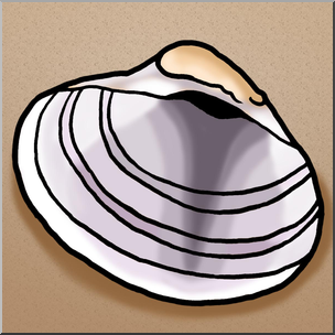 Clip Art: Seashells: Venus Clam Shell Color – Abcteach