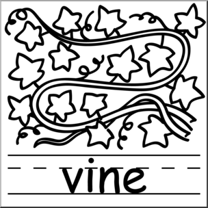 Clip Art: Basic Words: Vine B&W Labeled – Abcteach