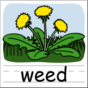 Clip Art: Basic Words: Weed Color Labeled – Abcteach