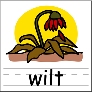 Clip Art: Basic Words: Walrus Color Unlabeled – Abcteach