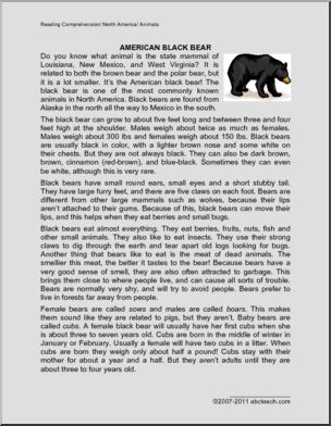 Comprehension: Black Bears (elem) – Abcteach