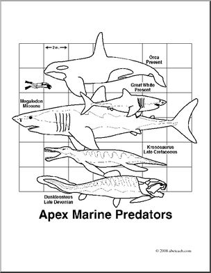 Clip Art: Apex Marine Predators (coloring page) – Abcteach