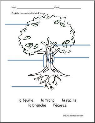 Worksheet: French: Vocabulary–Un arbre – Abcteach