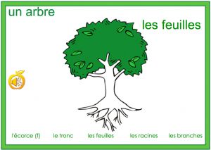 Interactive: Notebook: French: Carte–AmÃˆrique centrale – Abcteach