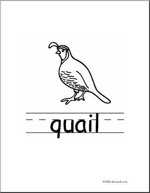 Clip Art: Basic Words: Quail B/W (poster) – Abcteach