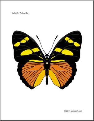 Bulletin Board: Butterfly Theme – Abcteach