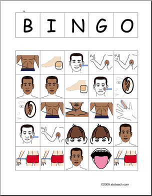 Spanish: Tarjetas de vocabulario con las partes del cuerpo – Abcteach