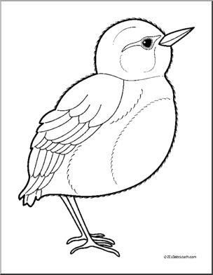 Clip Art: Baby Animals: Bird Fledgling (coloring page) – Abcteach