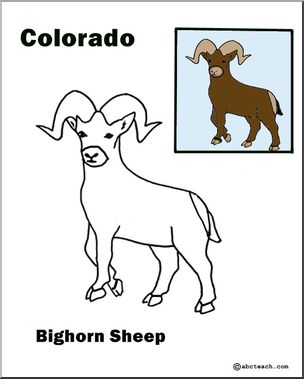 Colorado: State Animal: – Bighorn Sheep – Abcteach