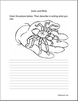 Spider (elem) Color and Write – Abcteach