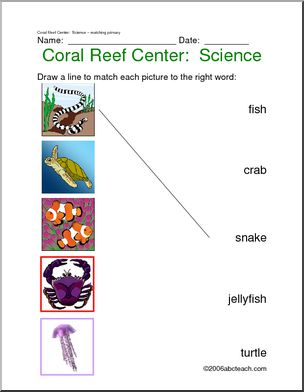 Report Form: Coral Reef – Abcteach