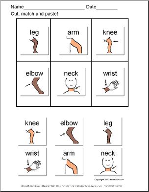 Cut and Paste: Match the Body Parts 2 – Abcteach