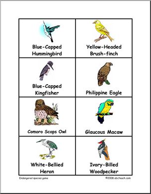 Comprehension: Lemurs (upper elementary) – Abcteach