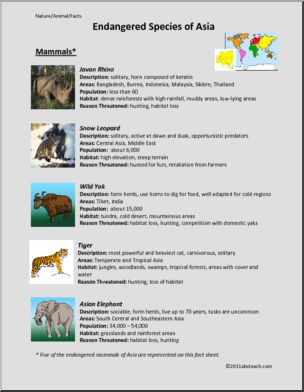 Endangered Animals Fact Sheet – Abcteach