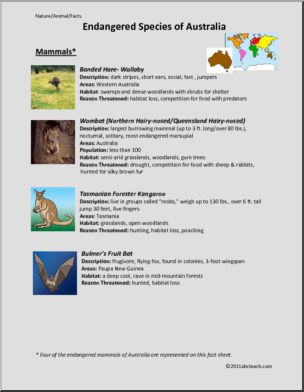 Fact Sheet: Endangered Mammals of Australia (upper elem/middle) – Abcteach