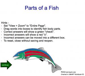 Interactive: Notebook: Fish label – Abcteach