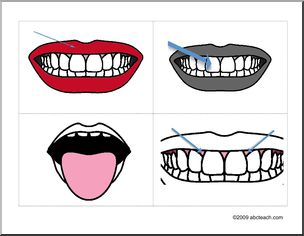 Flashcards: Body Parts (ESL) – Abcteach