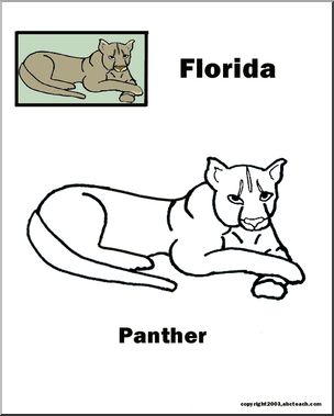 Florida: State Animal – Panther – Abcteach