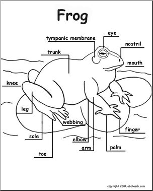 Phonics – Frog’ Coloring Page – Abcteach
