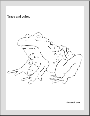 Bulletin Board Trim: Frog theme (small) – Abcteach