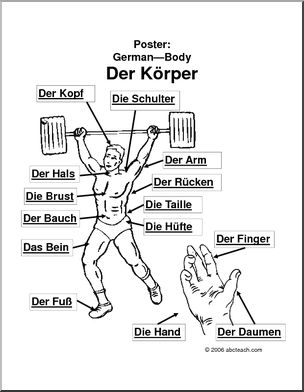 German: Poster – Body – Abcteach
