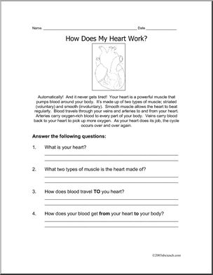 Unit: The Human Heart (upper elementary) – Abcteach