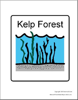 Kelp Forests – Abcteach