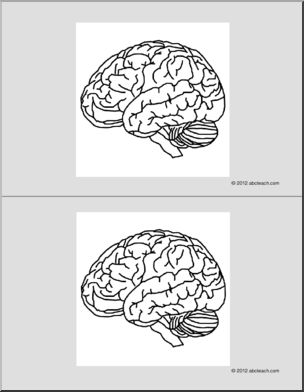 Montessori Science – Abcteach
