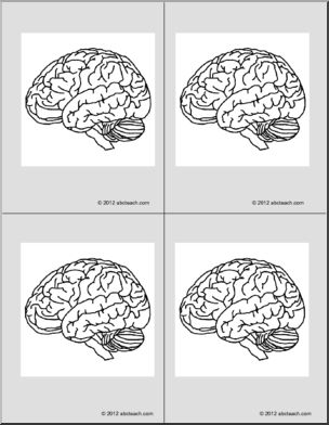 Nomenclature Cards: Human Body; Foot (4) (b/w) – Abcteach