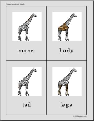Nomenclature Cards: Giraffe Three-Part Matching (color) – Abcteach