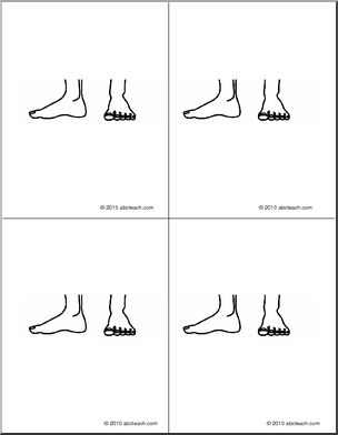 Nomenclature Cards: Human Body; Foot (4) (b/w) – Abcteach