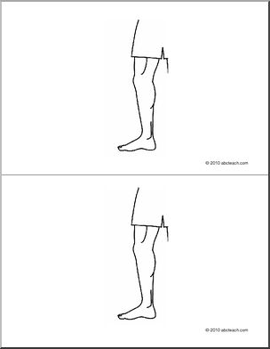 Nomenclature Cards: Human Body; Leg (2) (b/w) – Abcteach