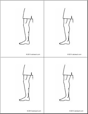Nomenclature Cards: Human Body: Leg (4) (b/w) – Abcteach