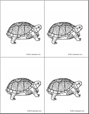 Nomenclature Cards: Turtle (4) (b/w) – Abcteach